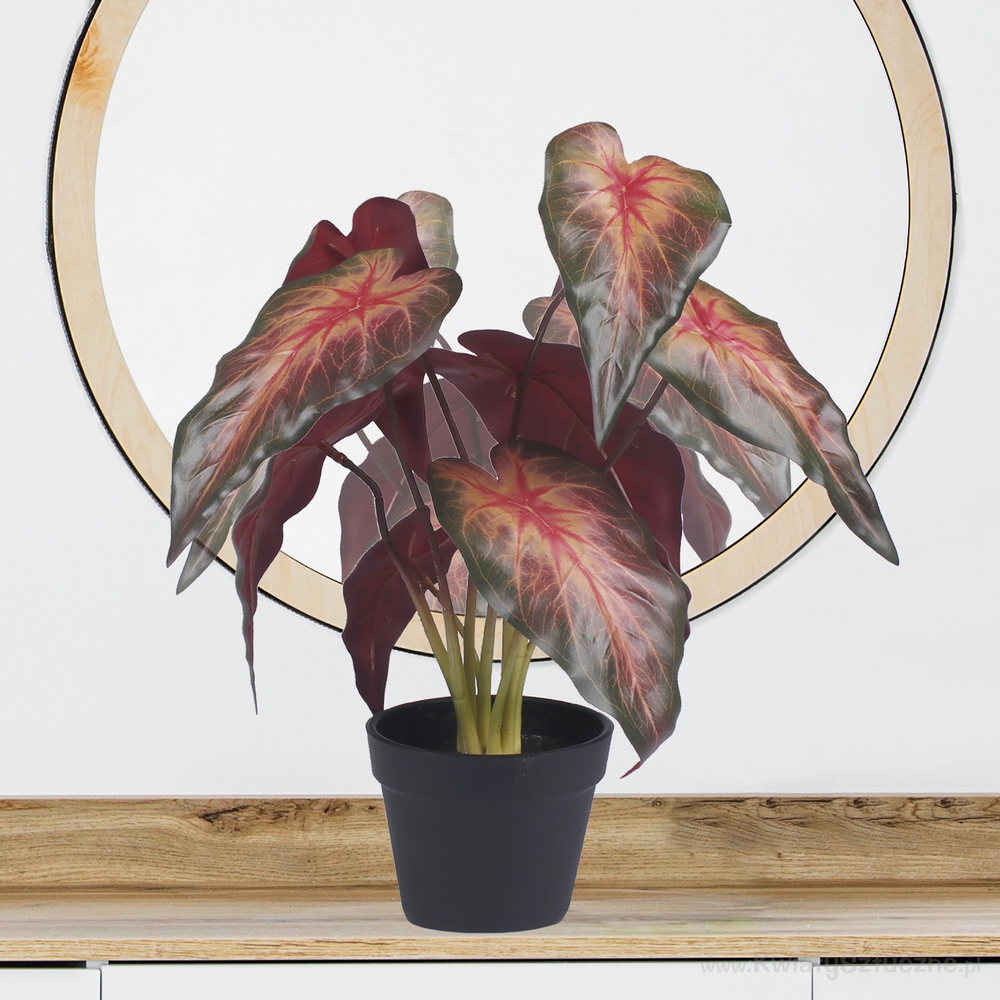 Kaladium w doniczce Z213 - Sztuczna Roślina Doniczkowa Zielona