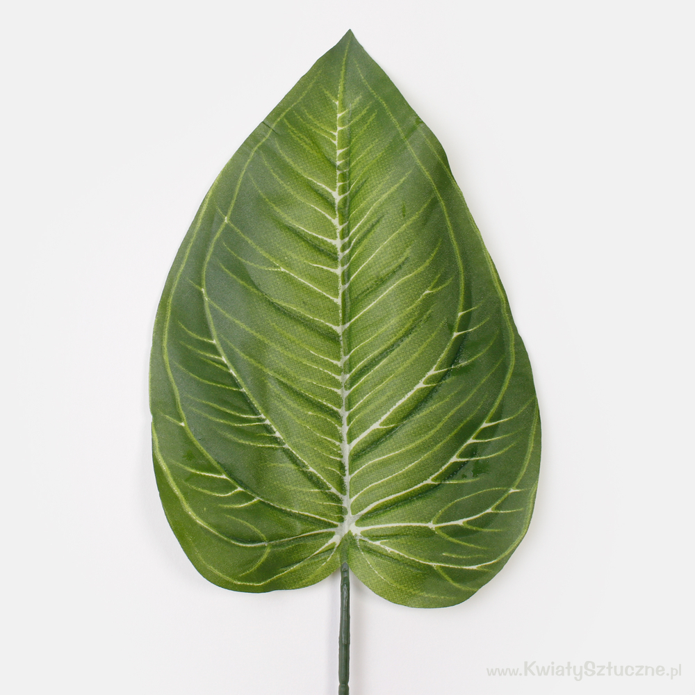 Liść hosty A161 - Sztuczny Liść Pojedynczy