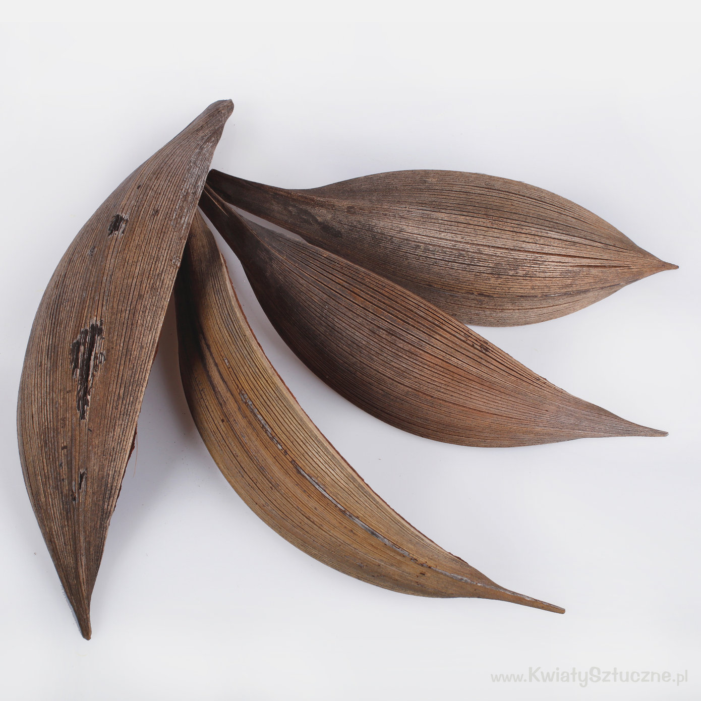 Coco shell 250 g Y044 - Naturalne Rośliny Suszone